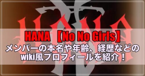 HANA【No No Girls】メンバーの本名や年齢、経歴などのwiki風プロフィールを紹介！ | スギちゃんブログ